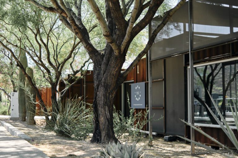 MSA Annex - Mercado District